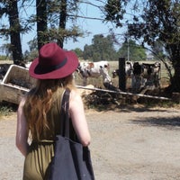 Matos Cheese Factory - Cheese Store