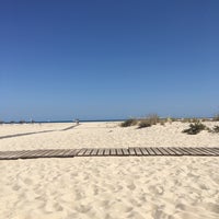 Praia da Armona - Olhão, Algarve