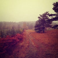 Old Dean Common - Camberley, Surrey