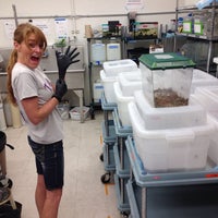 T. S. Painter Hall (PAI) - College Science Building in Austin