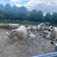 Hackney City Farm - Farm in Hackney