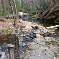 Big Trees Forest Preserve - Sandy Springs, GA