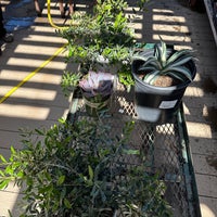 High Hand Nursery & Cafe - Garden Center in Loomis