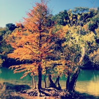 Red Bud Isle - Dog Run in Austin