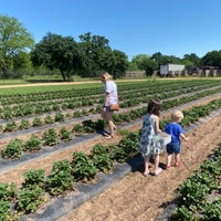 Sweet Berry Farm - 14 tips