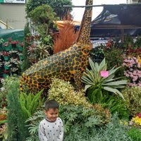 Session Road In Bloom - Flea Market