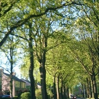 Oosterwolde - 1 tip from 276 visitors