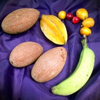 Fruit & Spice Park - Park in Homestead