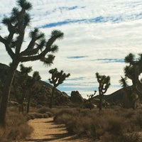 Joshua Tree Memorial Park - Joshua Tree, CA