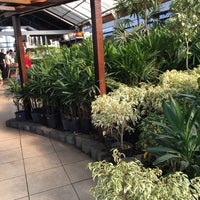 Vivero Mario - Palermo Viejo - Av. Raúl Scalabrini Ortíz 1240