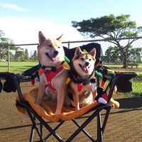 Mililani Dog Park - Mililani Town, HI
