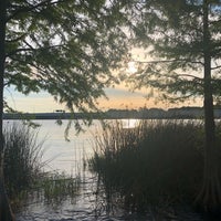 Lake Ivanhoe Park - Central Business District - 8 tips from 527 visitors