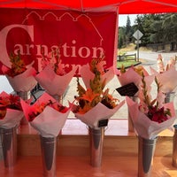 Carnation Farms - 89 visitors