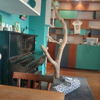 Crazy Cat Cafe - Centrale - 41 tips from 800 visitors