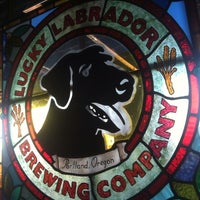 Lucky Labrador Brew Pub - 42 tips from 3658 visitors