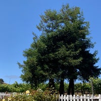 Point Reyes Vineyard Inn and Winery - 1 tip from 128 visitors