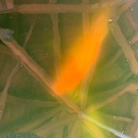 Point Reyes Vineyard Inn and Winery - 1 tip from 128 visitors