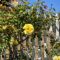 Point Reyes Vineyard Inn and Winery - 1 tip from 128 visitors