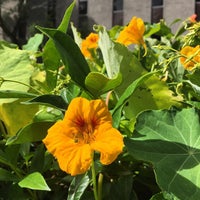 Lewis Hall - University of California-Berkeley - 186 visitors