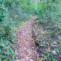 Watchung Reservation - Park