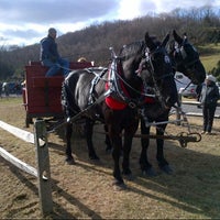 Battenfeld's Christmas Tree Farm - Rhinebeck, NY