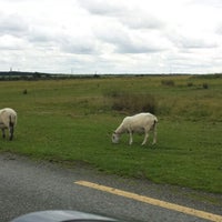 Curragh Plains - Curragh Camp