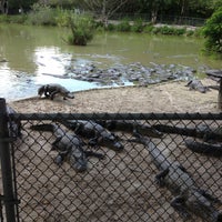Everglades Alligator Farm - Homestead, FL