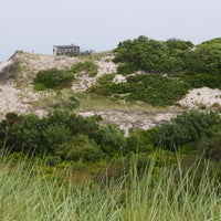 Ptown Sand Dunes - Beach