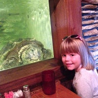 Fin Inn - 1 tip from 175 visitors