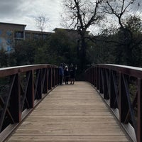 Barton Springs Pedestrian Bridge - Bridge in Zilker