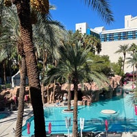 Flamingo GO Pool - 61 tips from 6533 visitors