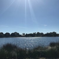 Jackadder Lake Reserve - Lake