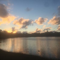 Jackadder Lake Reserve - Lake