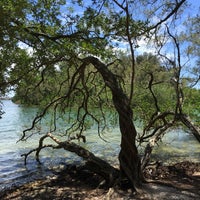Big Edwards Island - Sarasota, FL