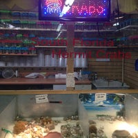 Sea Shell Shop - 119 Rehoboth Ave