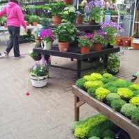 Podington Garden Centre - Garden Center