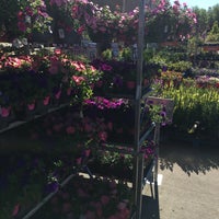 Walmart Supercenter - Tigard Neighborhood Area 5 - 5 tips from 597 visitors