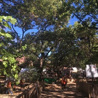 Etter-Harbin Alumni Center (UTX) - University of Texas-Austin - 4 tips