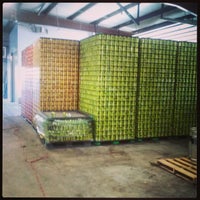 MadTree Brewing - Oakley - 3301 Madison Rd