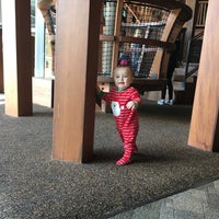 Watermark Tree Fort - 23 visitors