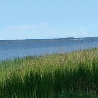 Harris Neck National Wildlife Refuge - 4 tips from 132 visitors