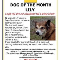 Dogs Trust - Baillieston - 315 Hamilton Road