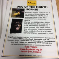 Dogs Trust - Baillieston - 315 Hamilton Road