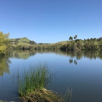 di Rosa - 5200 Sonoma Hwy