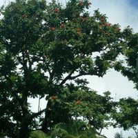 Warwick Fiji Resort & Spa - Komave Village, Western