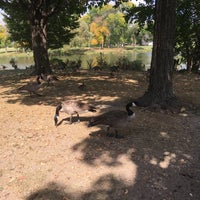 McCarty Park - 10 tips from 919 visitors