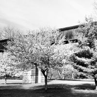 City of Strongsville