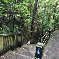 Auckland Domain - 32 tips from 2538 visitors