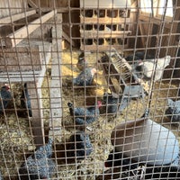 Howell Living History Farm - 5 tips from 308 visitors