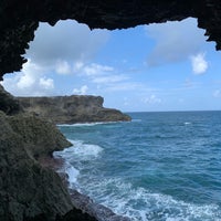 Animal Flower Cave - Cave